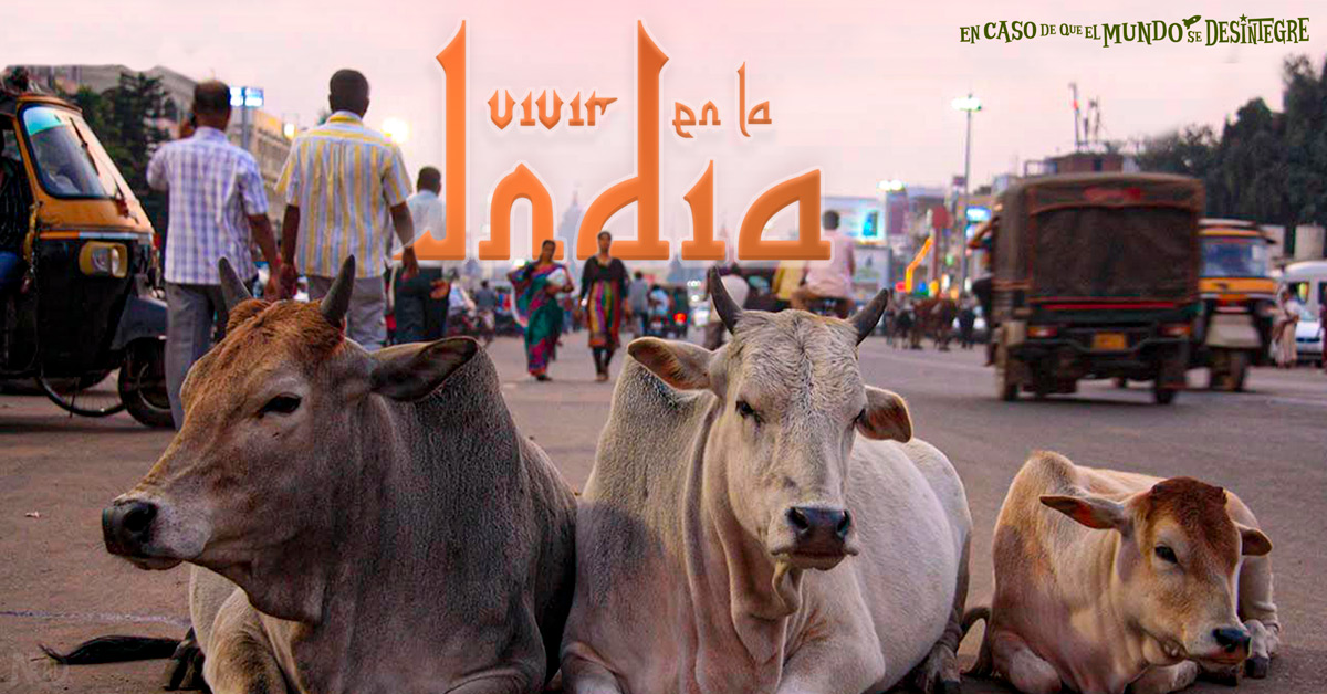 Vivir en la India | 6054 ECDQEMSD Podcast